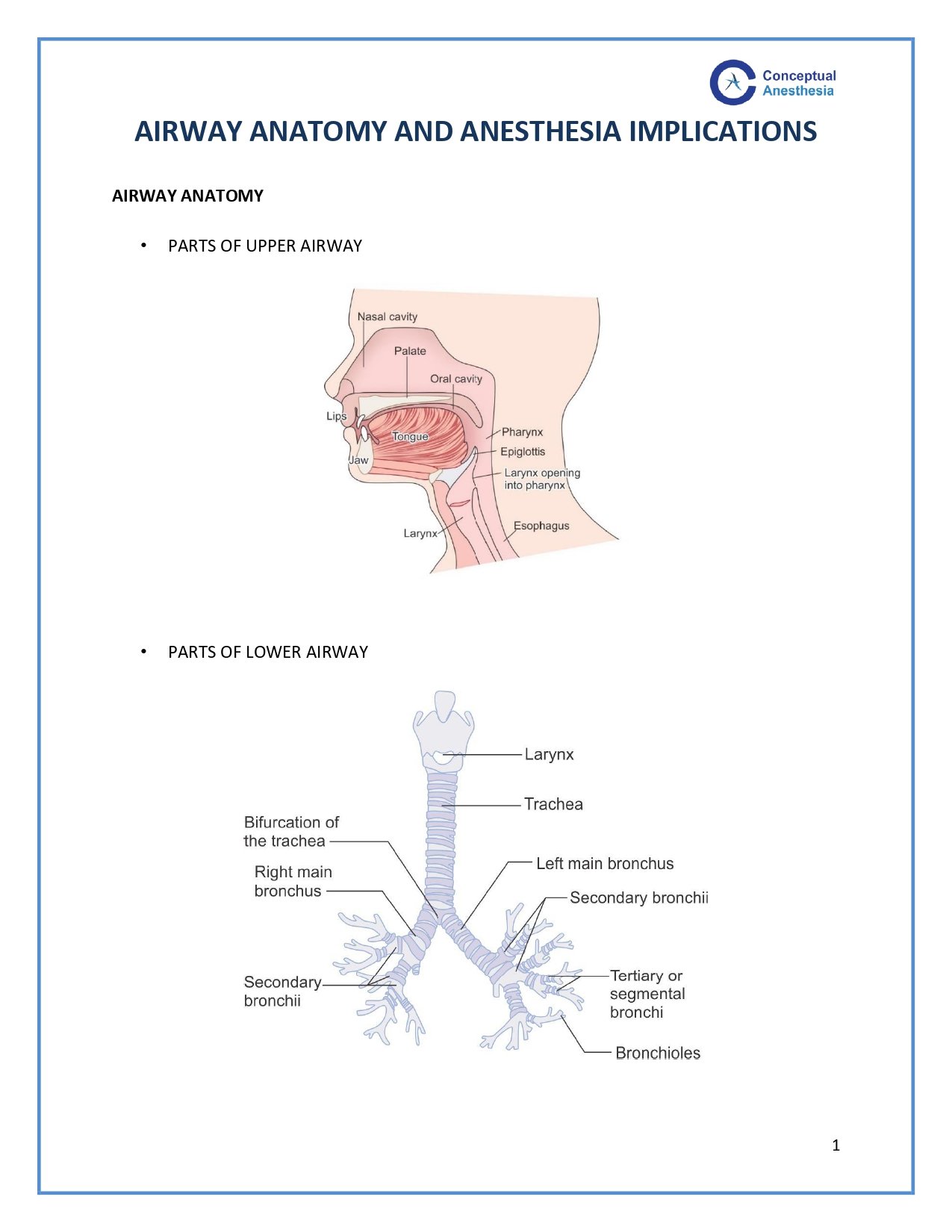 in app notes – Conceptual Anesthesia